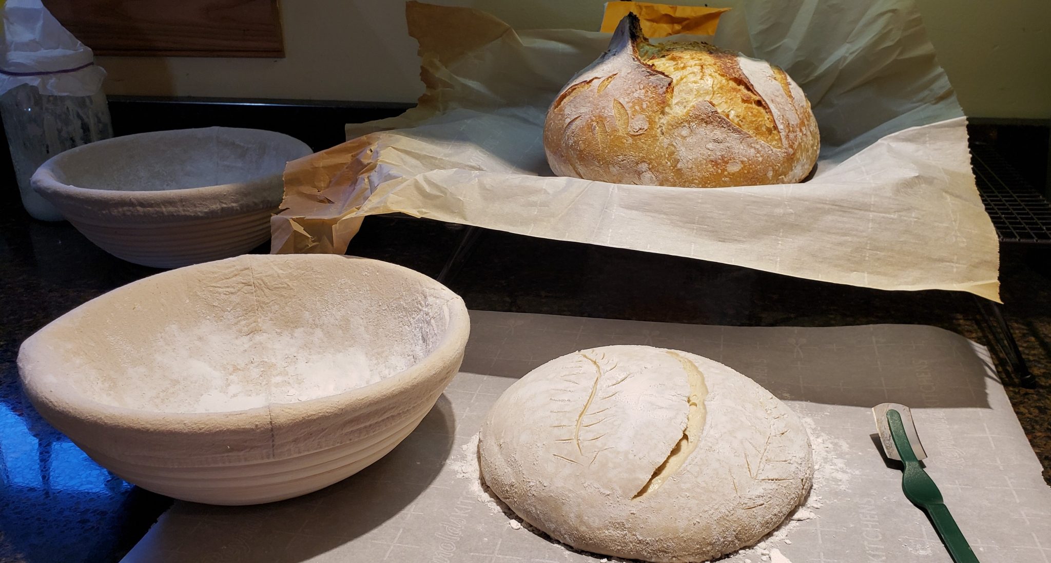 A Beginner's Sourdough Journey with Help From Raisenne - Raisenne ...